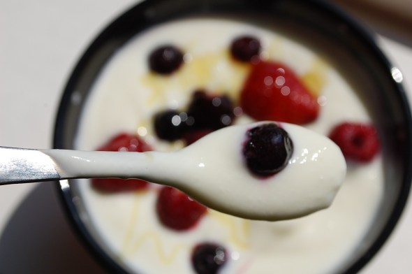 Thick and Creamy Yogurt From Home | Eastside Epicurean