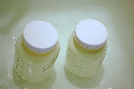 Thick and Creamy Yogurt From Home | Eastside Epicurean